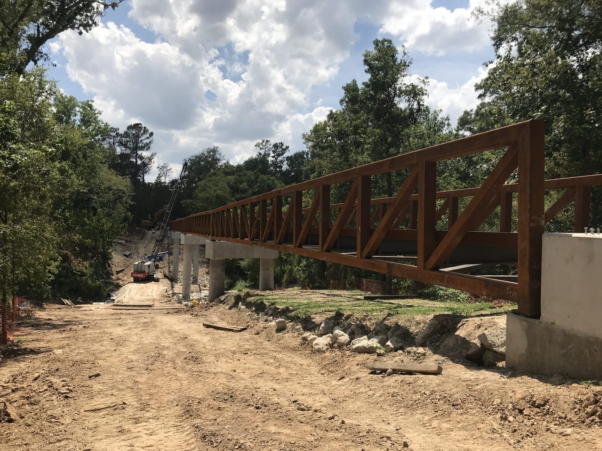 Enhancing Houston’s Greenspace through Nature-Immersive Experiences ...