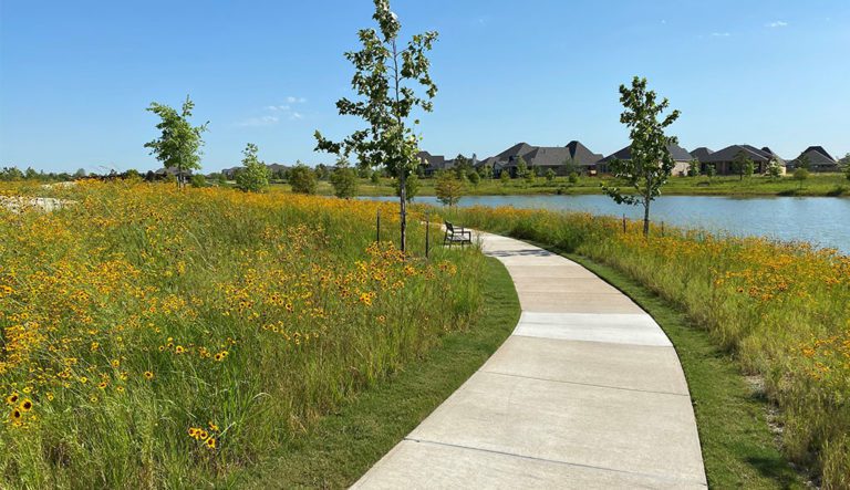 The Up Side of No-Mow Landscapes — Clark Condon