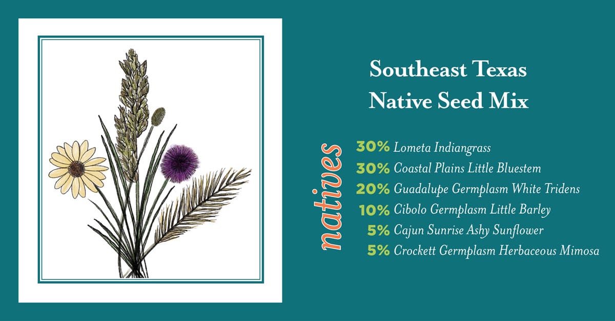 Southeast Texas Native Seed Mix — Clark Condon