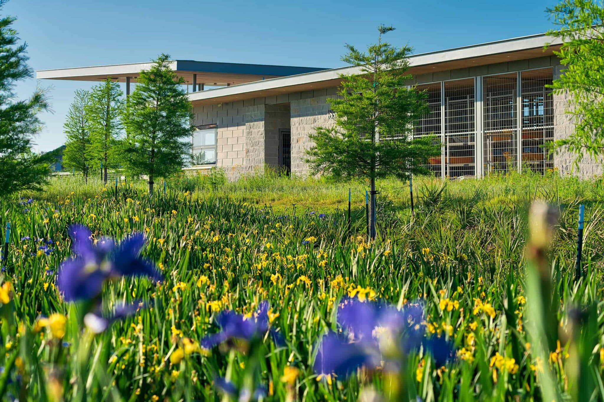Planting Considerations for a Resilient Landscape — Clark Condon